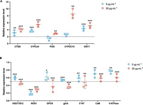 Real Time Pcr Results Of The Gene Expression Level Of Selected