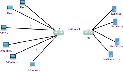 The Topology Of The Low‐rate Distributed Denial Of Service Attack
