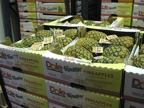Pineapples Soluble Solids International Produce Training