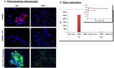 Ivisense Folate Receptor Fluorescent Probe Revvity