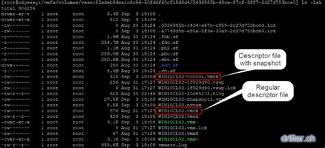 Vmware Clone A Vm With Snapshots And Consolidate It Driftars Blog