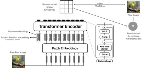 Github Lihkinverma Image Reconstruction By Vision Transformer This Repository Is To Store