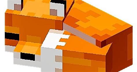 Sleping Fox Album On Imgur