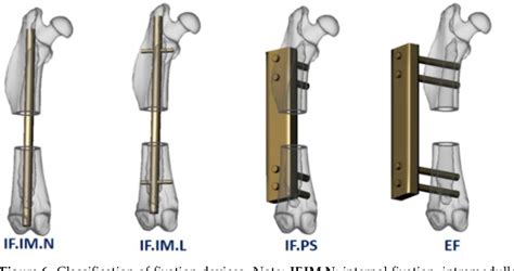 Figure 6 From Surgical Classification For Preclinical Rat Femoral Bone Defect Model
