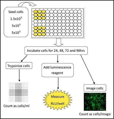 Comparison Of Three Different Methods For Determining Cell