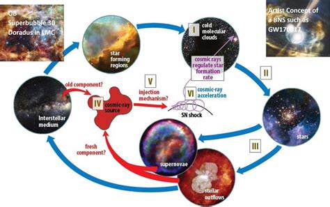 37th International Cosmic Ray Conference The Trans Iron Galactic