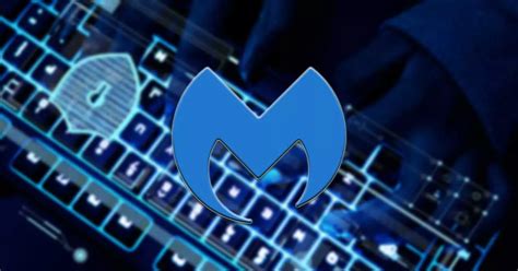 A Closer Look At Malwarebytes Your Shield Against Digital Threats