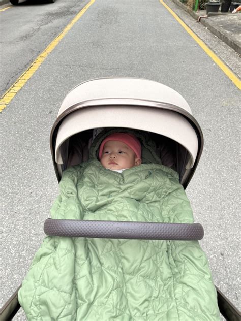 오이스터3 플러스 언박싱 후기 디럭스 유모차 네이버 블로그