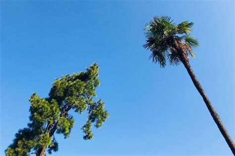 ბათუმში მომდევნო ორი დღის განმავლობაში უნალექო ამინდი იქნება Adjara Tv