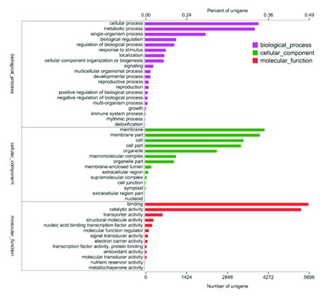 Functional Classification Of Go Enrichment For Assemble Unigenes Of M Download Scientific