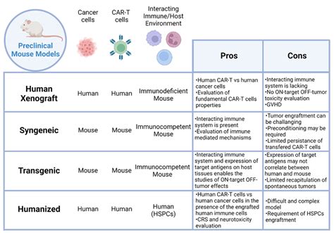 Schematic Representation Of Preclinical Mouse Models For Adoptive Cell