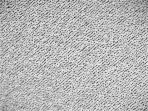 Signal And Noise Compact Disc Microscopy