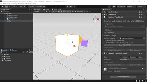 Networked Physics Normcore Documenation