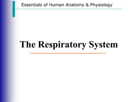 Respiratory Ppt