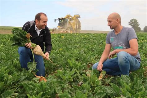 Sustainability At A Glance Südzucker