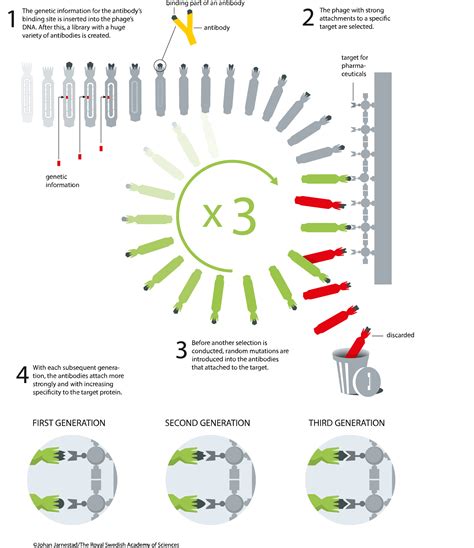 Phage Display Idec Resources Wiki