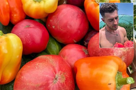 Ostao Bez Paradajza Zdravko Perić Najpoznatiji Farmer U Regionu žene Ga Obožavaju Agroportalba