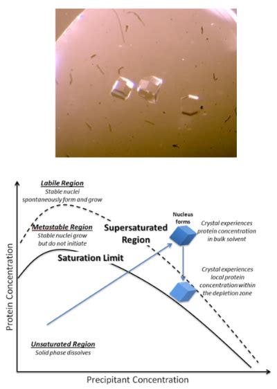 2 Overview Of Protein Crystallization Methods Qrjmn