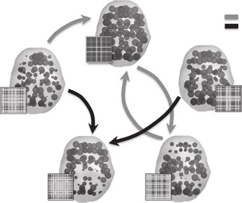 4 Summary Of Resting State Fmri Data From Older Adults Using Leida The Download Scientific