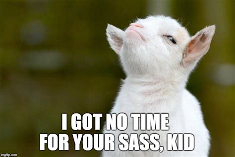 CSS SASS SCSS