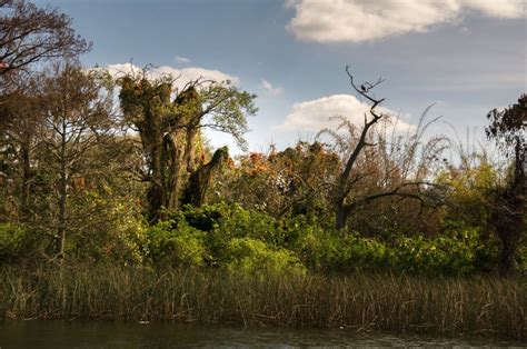 Abandoned Disney Park Photos Popsugar Smart Living