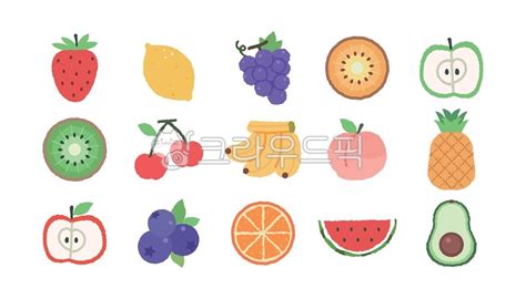 과일 벡터 일러스트 아이콘 귀여운 사진이미지일러스트캘리그라피 Woocat작가
