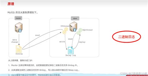 【innodb阅读笔记】之 二进制文件应用，主从复制搭建数据库二进制文件 Csdn博客