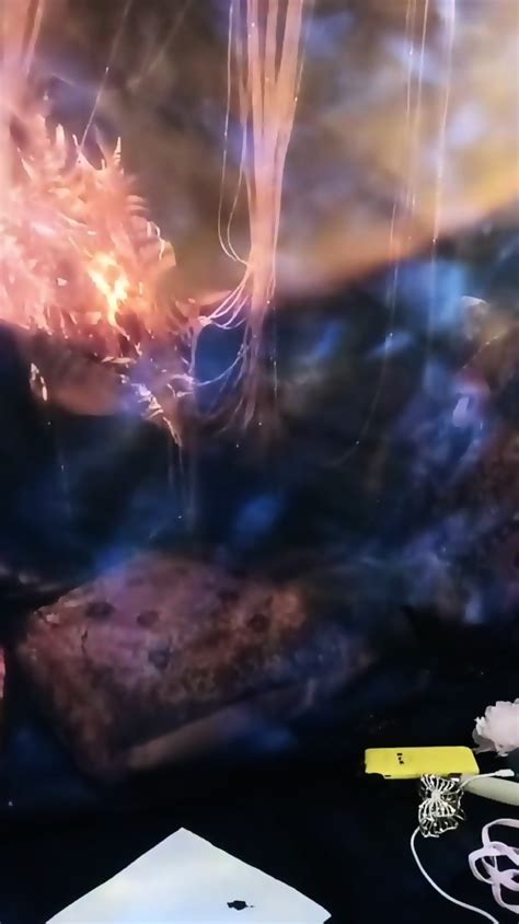 待以君王 05 Eporner