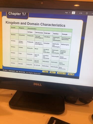Biology Chapter 17 Flashcards Quizlet