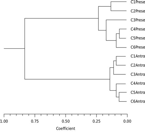 Dendrogram Of Relation Between Soil Fungi Samples From The Preserved Download Scientific