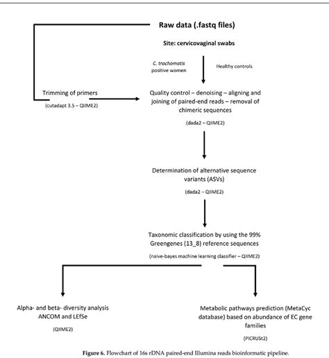 flowchart of 16s rdna paired end illumina reads bioinformatic pipeline