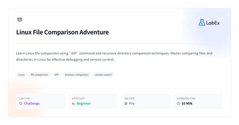 Linux File Comparison Adventure Labex
