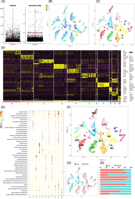 Eleven Distinct Cell Clusters Were Revealed In Control Subjects And Ais