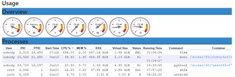 Help Needed Plex Server Took Up 99 Cpu Usage Overtime General