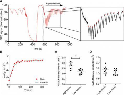 Representative Plot Of Nirs Protocol Red Line Represents Nirs Signal