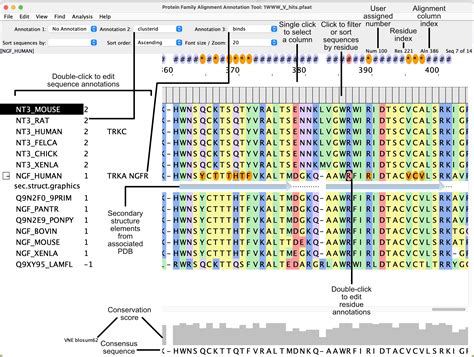Pairwise Sequence Alignment