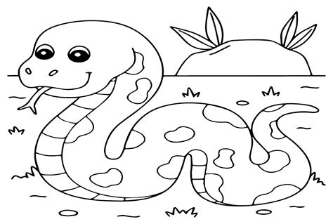 Anaconda Coloring Page Pdf Free Printable Coloring Pages