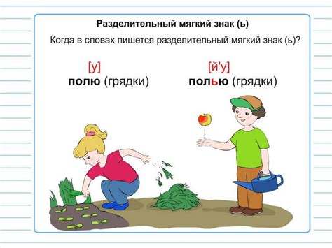 Правописание слов с разделительным мягким знаком презентация онлайн