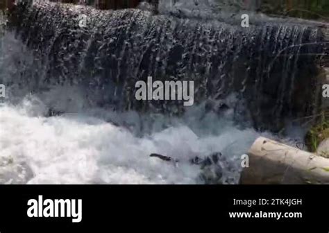 Log Crib Stock Videos And Footage Hd And 4k Video Clips Alamy