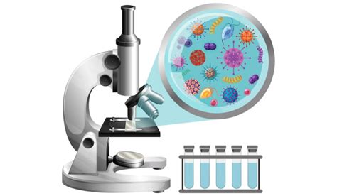 Unveiling The World Beyond Exploring Microscope Types And Their Diverse Uses FullSci