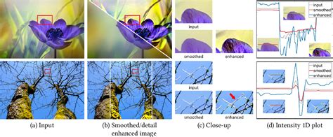Figure 4 From Real Time Image Smoothing Via Iterative Least Squares