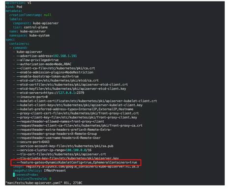 kubectl debug 调试容器 阿里云开发者社区