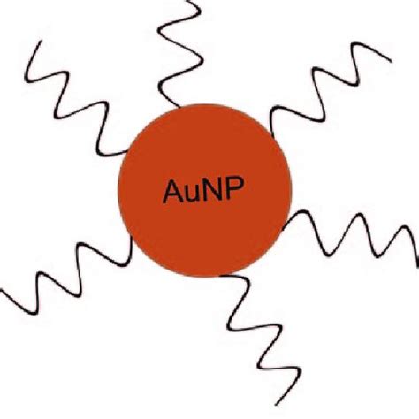 Pdf Gold Nanoparticle Based Microbial Detection And Identification