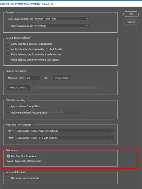 Adobe Camera Raw Graphics Processor Gpu Faq And Troubleshooting