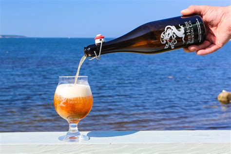 Tree House Brewing Plans To Open A Cape Cod Location With Stunning Views This Summer