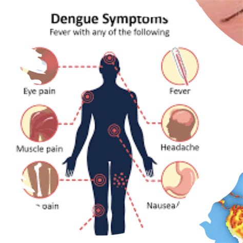 Cdc Reportable Diseases Flashcards Quizlet