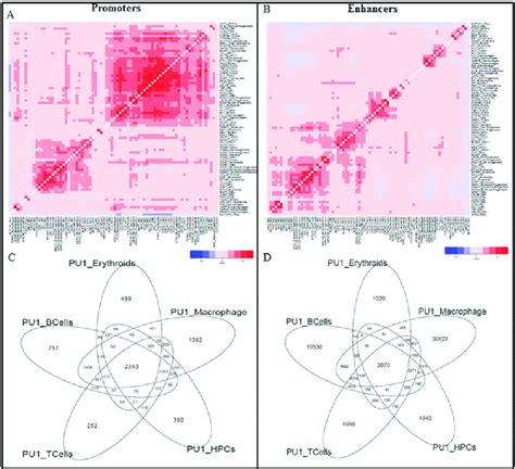A B Hierarchical Clustering Of Pair Wise Peak Overlap Of All Download Scientific Diagram