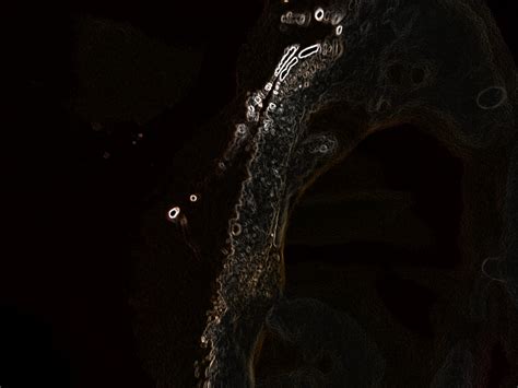 hi my name is shvestko dmitry i am a photographer my style i call macroneon album on imgur