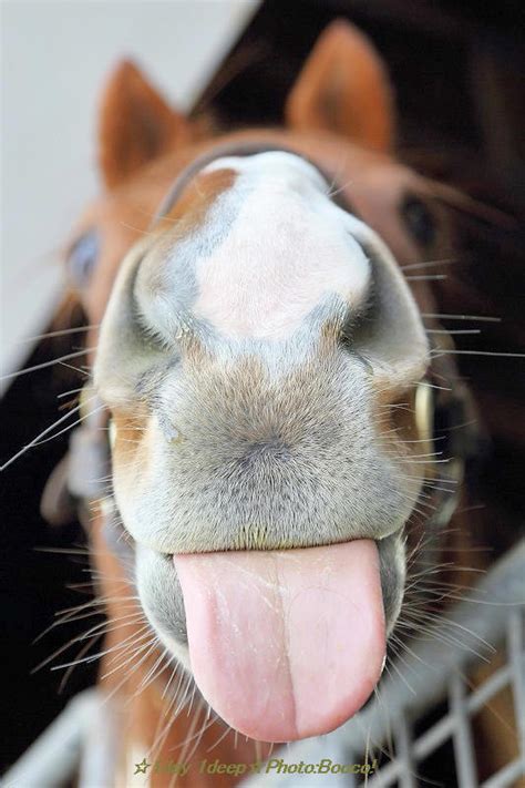 아니 뭐 어이가 없네 오덕양성소 에펨코리아