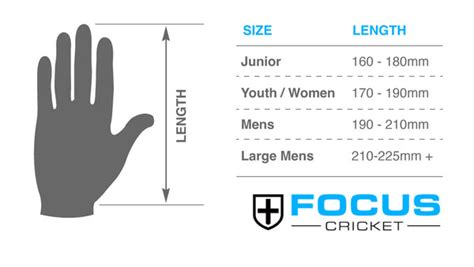 Sizing Guide Focus Cricket
